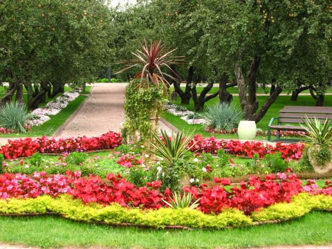 Transforming Outdoor Spaces with Exquisite Plant and Flower Beds ...