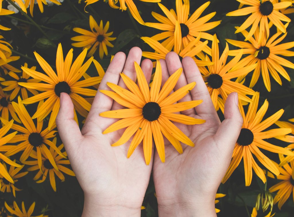 Blooming Beauty: Preparing for a Flawless Flower Bed Installation ...